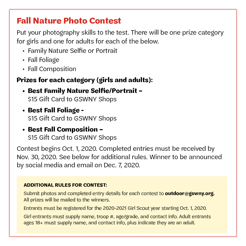 Family Pumpkin Carving Contest 2020 – GSWNY Blog