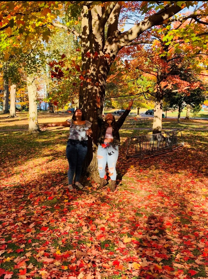 Fall Foliage Photo Contest 2020 – GSWNY Blog