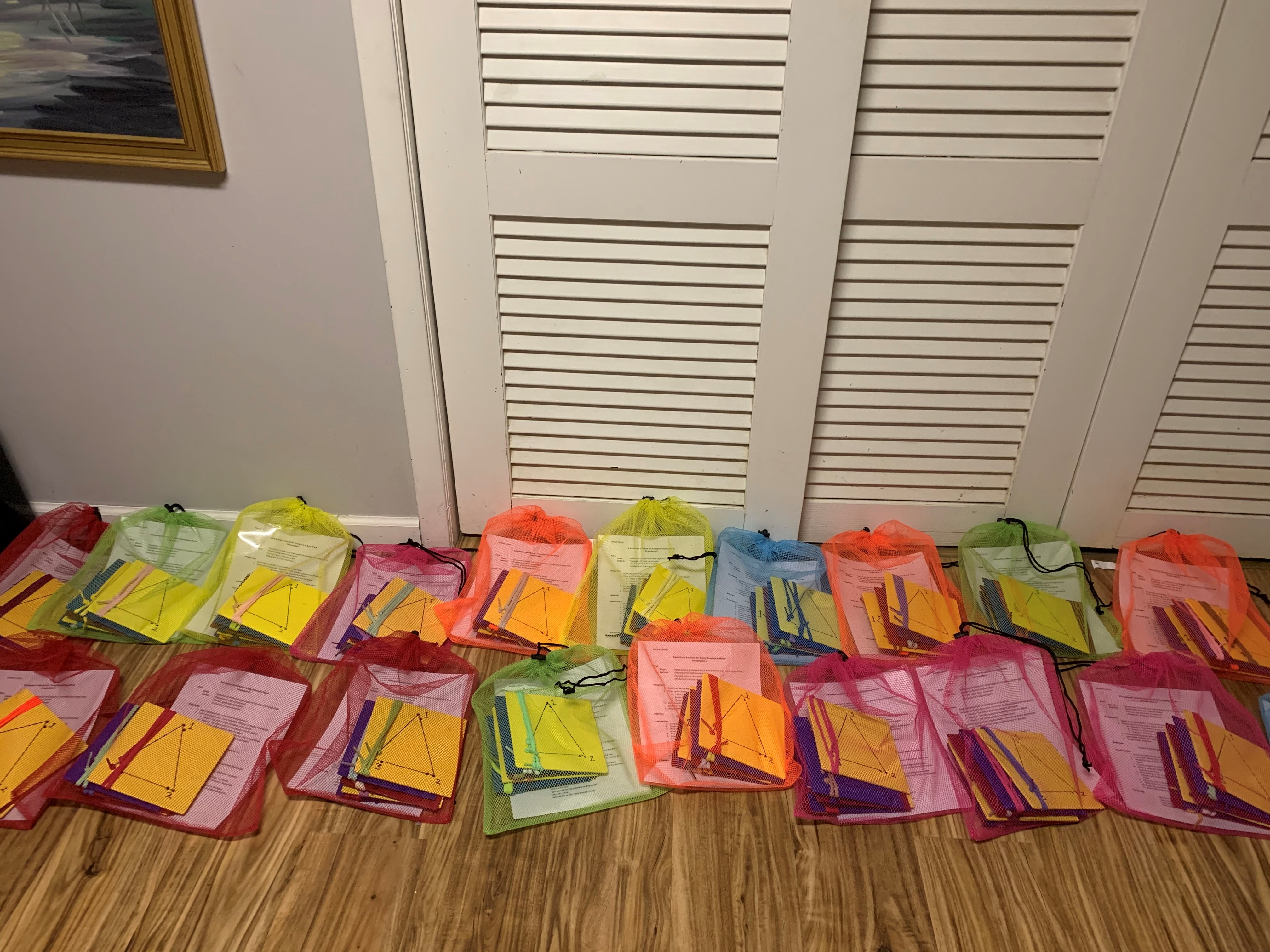 Isabelle Larson earns 2021 Girl Scout Gold Award – GSWNY Blog